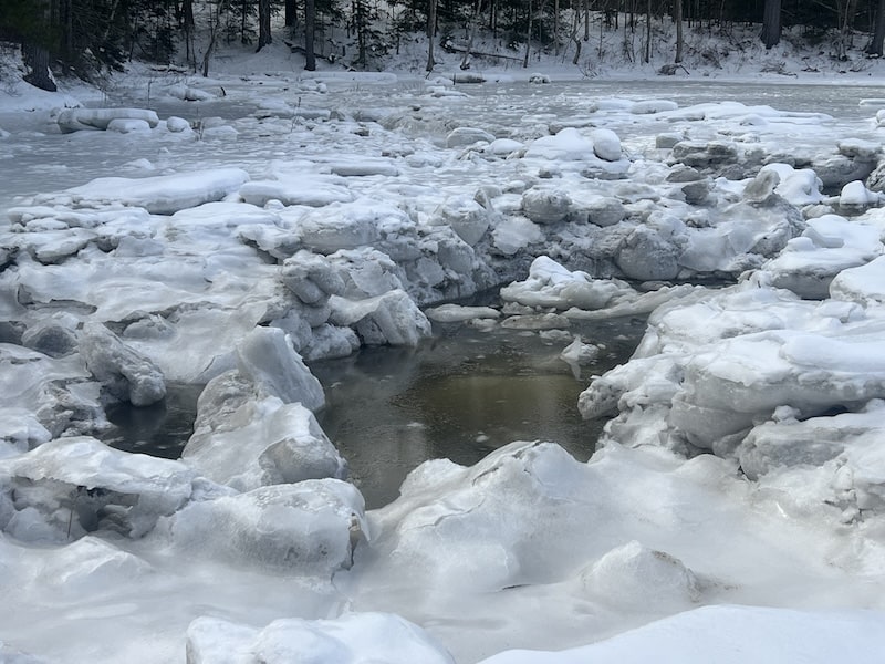 Marsh River Preserve — Maine by Foot