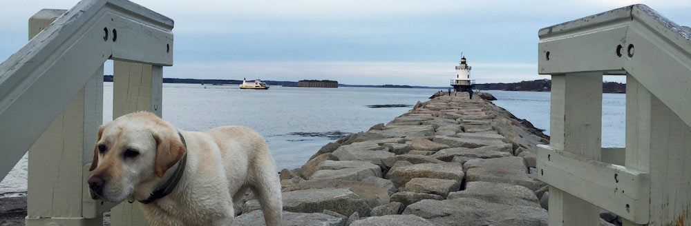 Spring Point Shoreway, South Portland – Maine by Foot