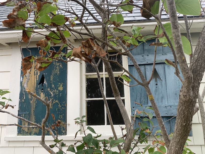 Timber Point — Maine by Foot