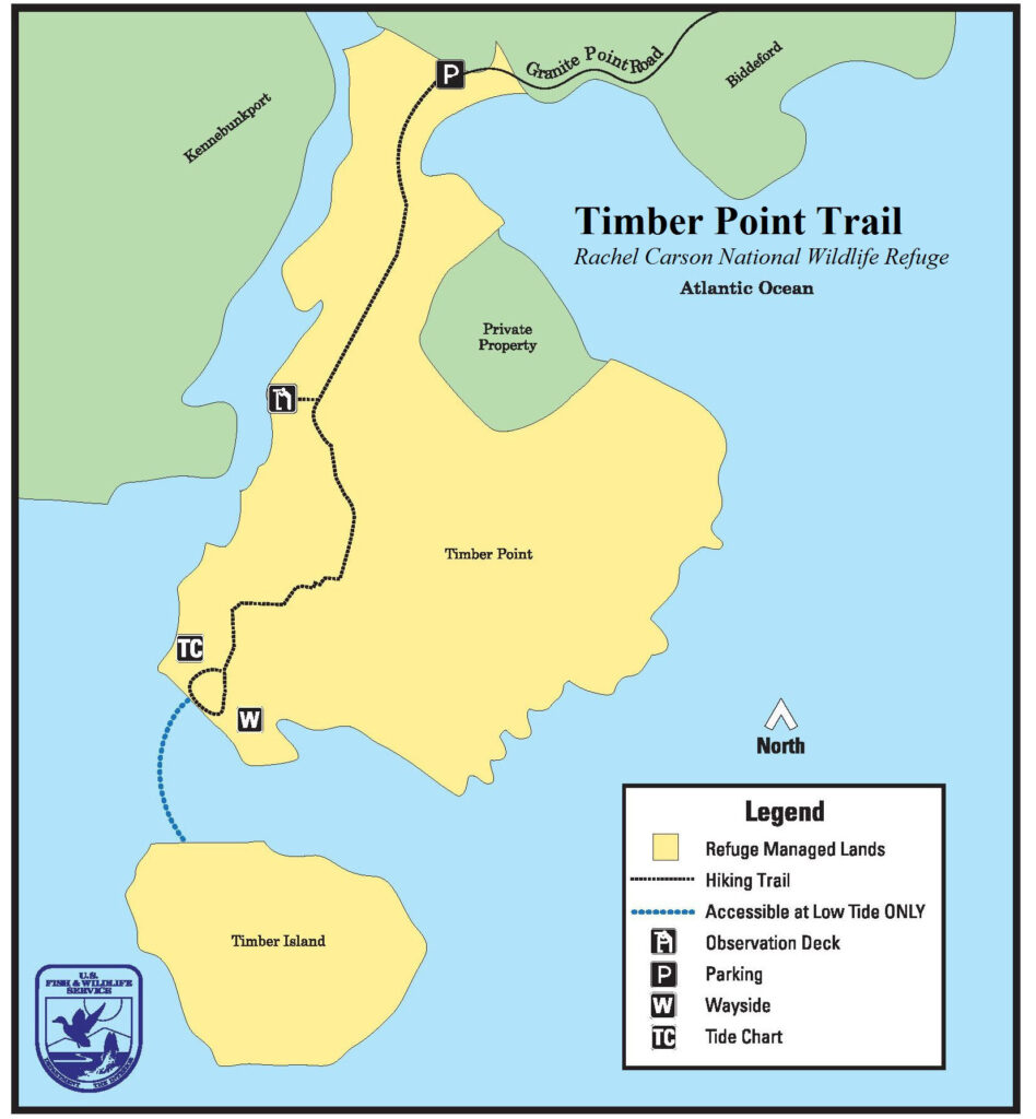 Timber Point — Maine by Foot
