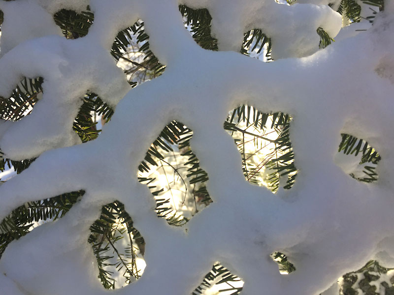 Gorham Trails + Frazier Preserve — Maine by Foot