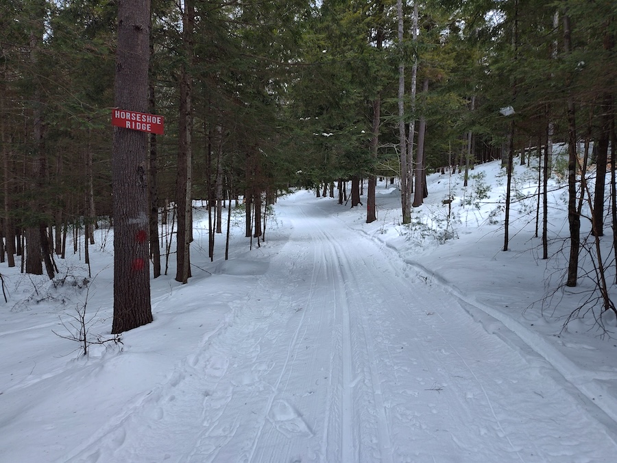 Jay Recreation Area Trails — Maine by Foot