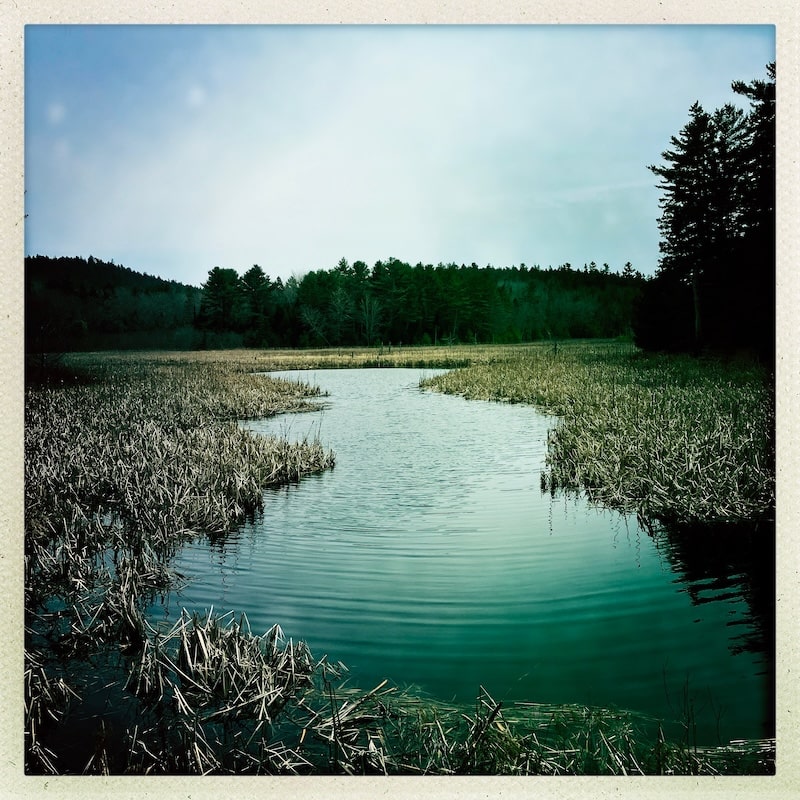 Holbrook Island Santuary — Maine by Foot