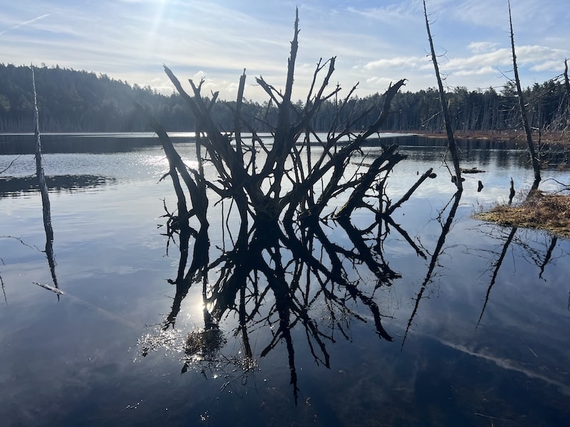 Holbrook Island Santuary — Maine by Foot