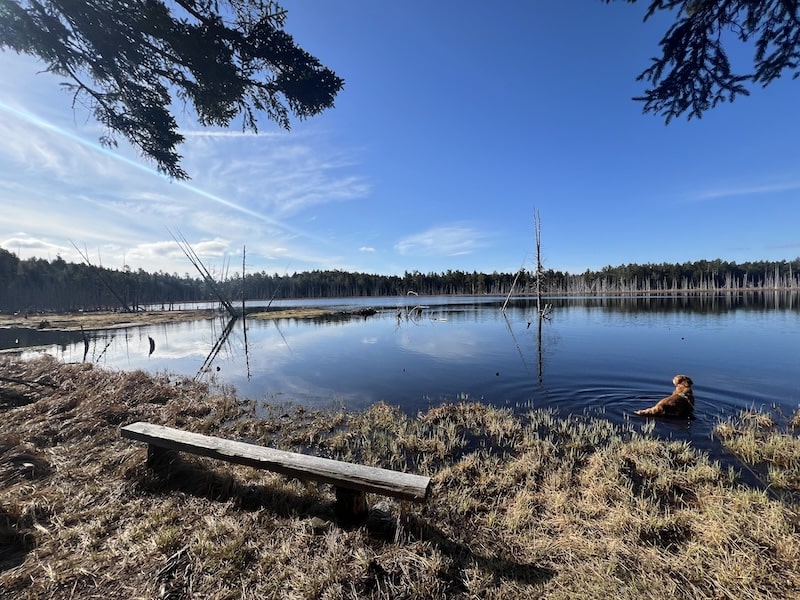 Holbrook Island Santuary — Maine by Foot
