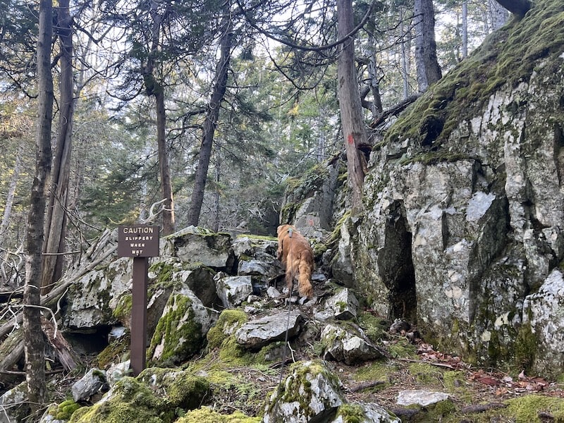 Holbrook Island Santuary — Maine by Foot