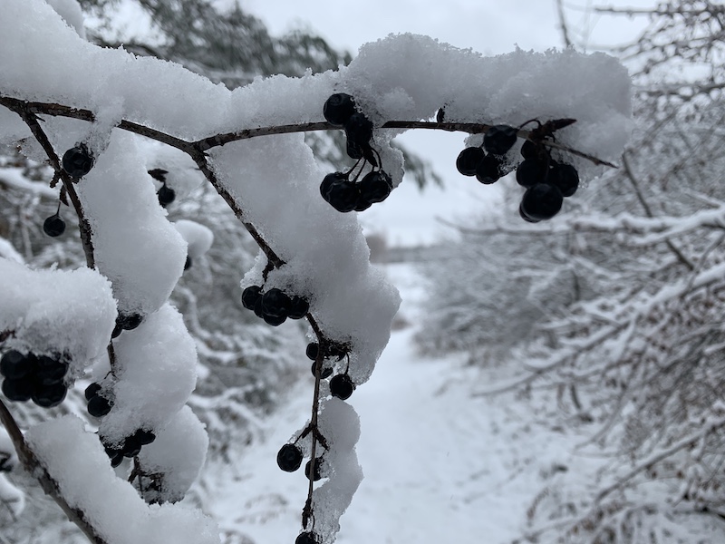 Cascade and Saxl Parks — Maine by Foot