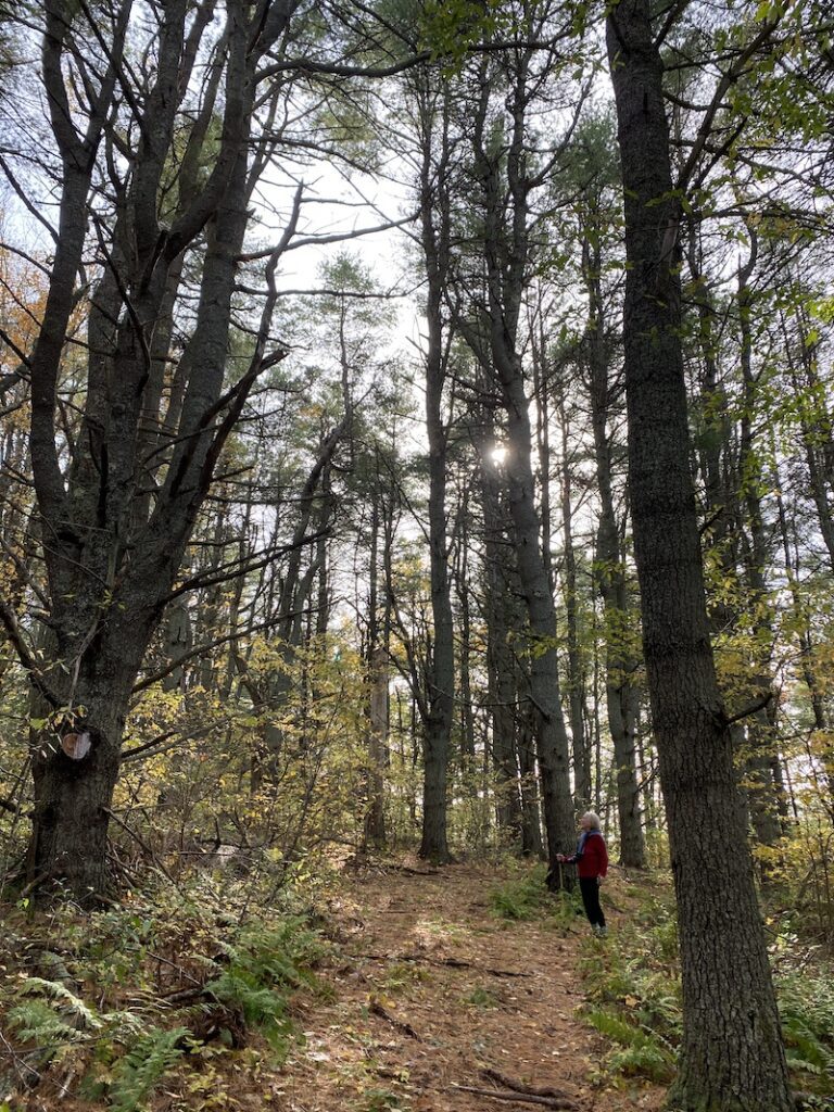 Kate Furbish Preserve — Maine by Foot