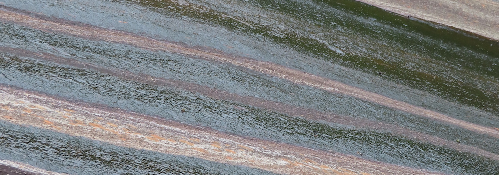 Blueberry Ledges, Baxter State Park – Maine by Foot