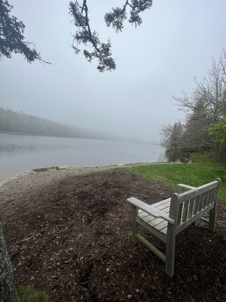Little Long Pond Natural Lands and Eliot Mountain — Maine by Foot