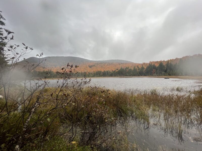Horseshoe, Pearl, Grassy Pond Trails — Maine by Foot