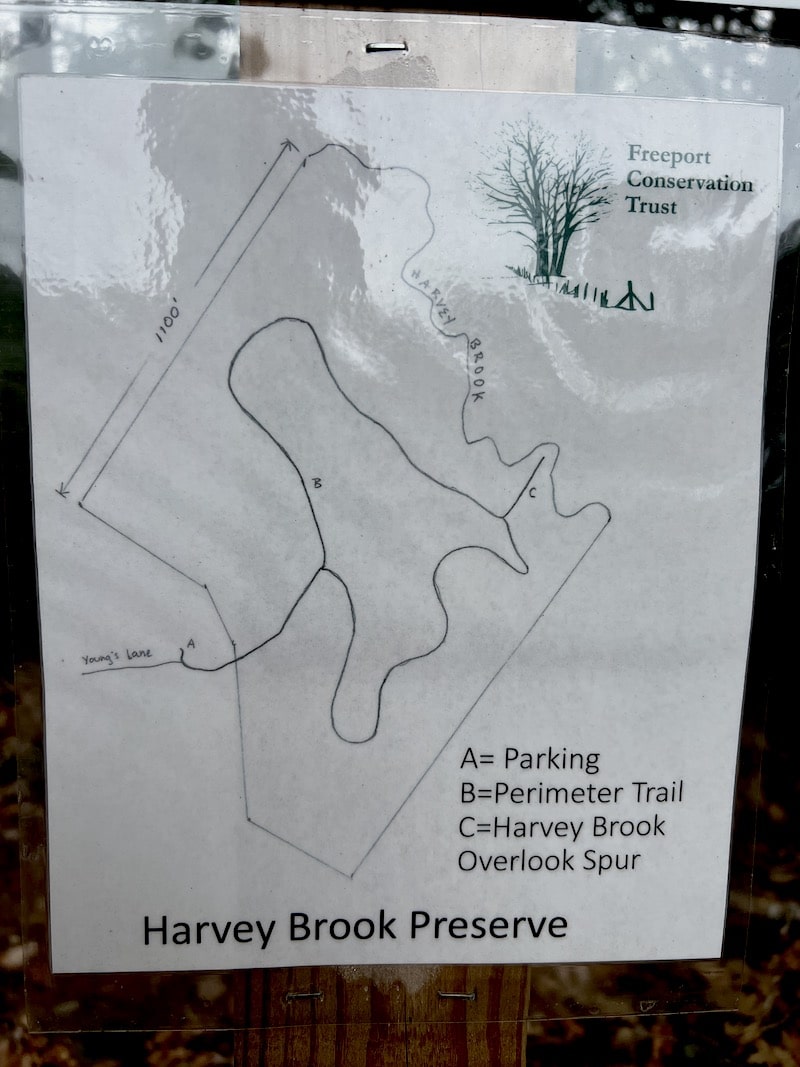 Harvey Brook Trail, Freeport – Maine by Foot