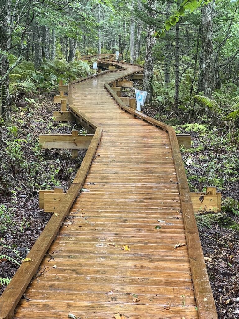 Elementary School Nature Trail — Maine by Foot