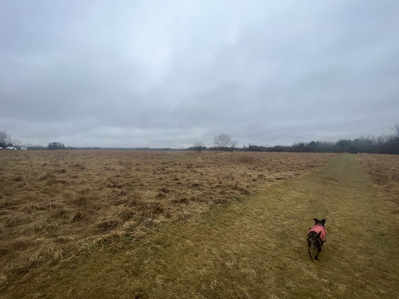Cascade and Saxl Parks, Bangor – Maine by Foot