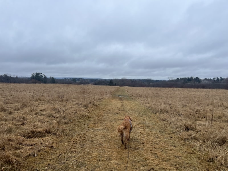 Cascade and Saxl Parks, Bangor – Maine by Foot