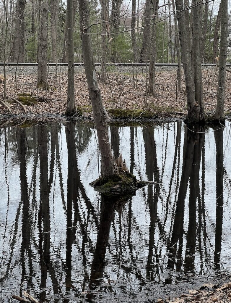 Riverton Rail Trail and Casco Bay H.S, PATHS Trails — Maine by Foot