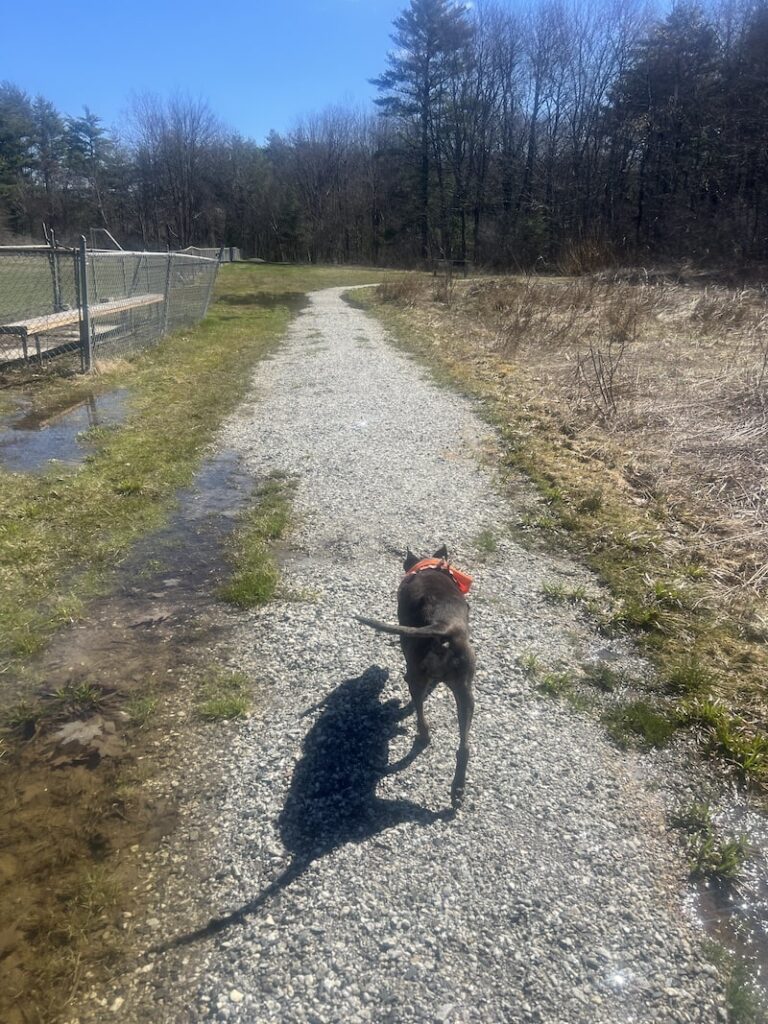 North Deering Park — Maine by Foot