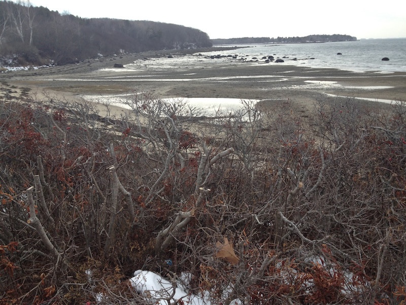 Mitchell Field — Maine by Foot