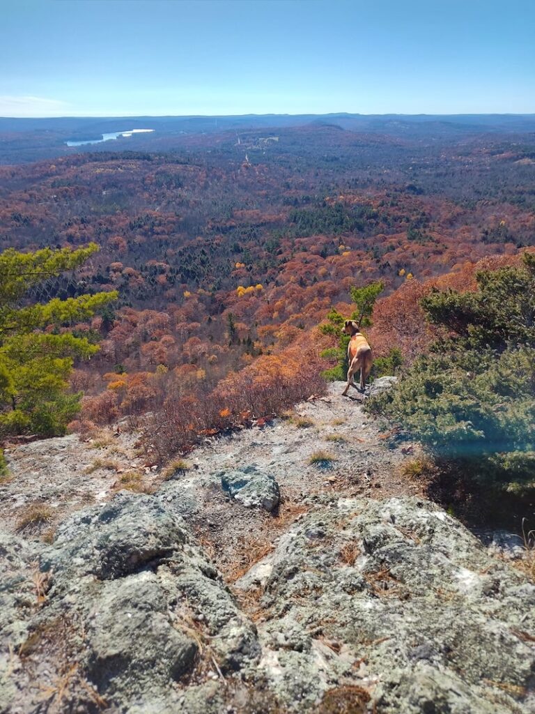 Patch Mountain, Greenwood - Maine by Foot