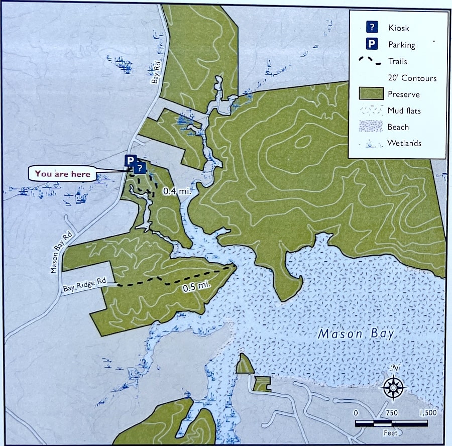 Mason Bay Preserve — Maine by Foot