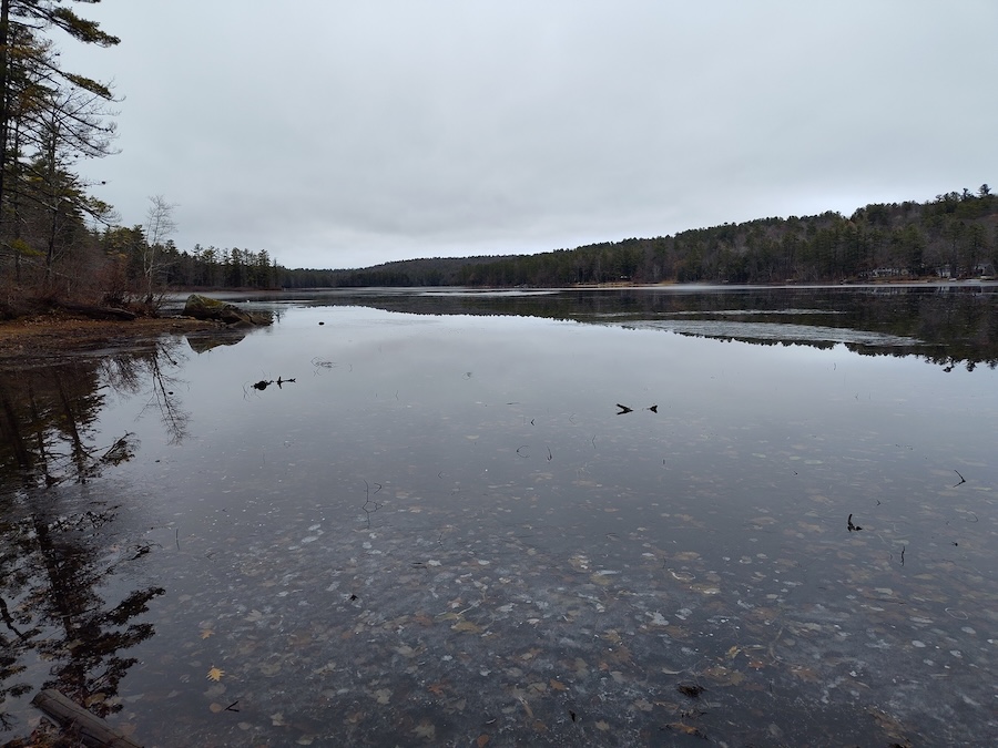 Sebago Cove Forest — Maine by Foot