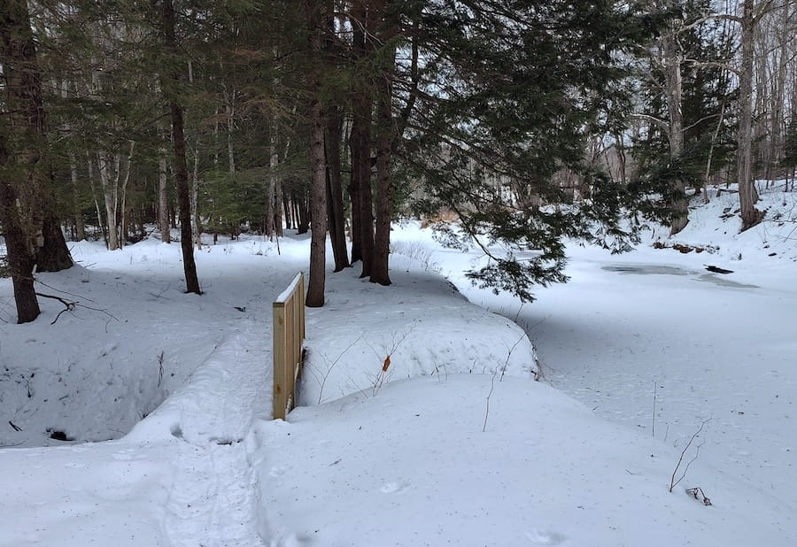 Wilson Stream Trail — Maine by Foot